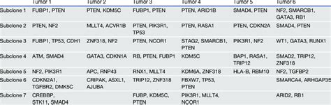 Co Occurring Sgrnas Identified In Tumor Subclones Download Scientific Diagram