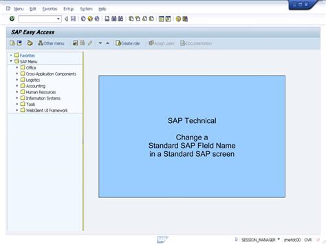 青蛙SAP分享 Froggy s SAP sharing SAP Technical Change Standard SAP Field Name