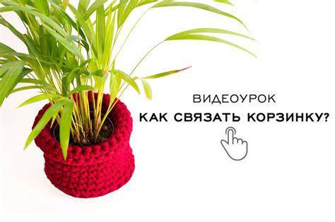 Как связать корзинку Корзинка из трикотажной пряжи Planter Pots