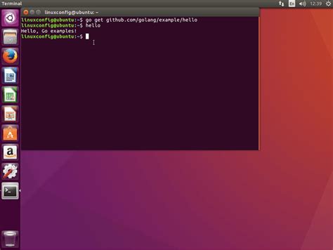 Installation Of Latest Go Language Binaries On Ubuntu 1604 Xenial