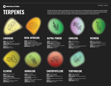 Terpenes Chart Do You Even Speak Terpenes The Certified Za