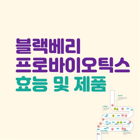블랙베리 프로바이오틱스 효능 및 제품소개 닥터아돌 블랙베리 프로바이오틱스