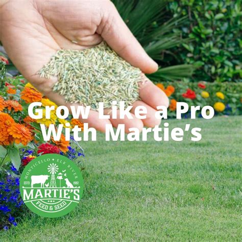 Contractor Grass Seed Mix 25 Lbs