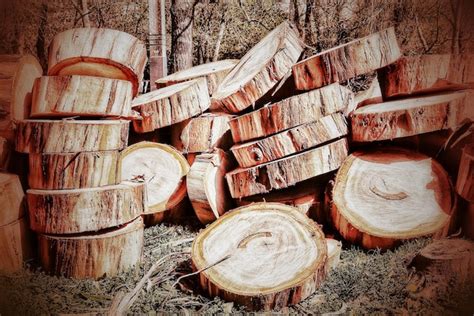 Premium Photo Stack Of Logs