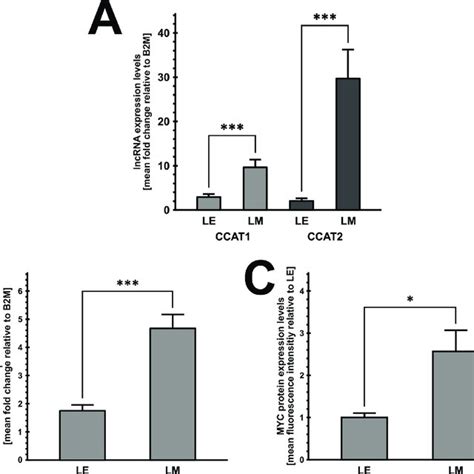 A Semi Quantitative Rt Pcr Revealing Significantly Upregulated Download Scientific Diagram