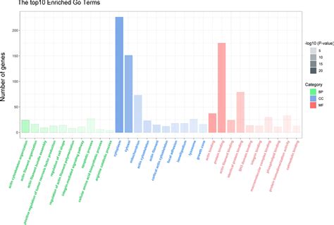 Ontological Analysis Of The Deps Classification Of The Deps Based On Download Scientific