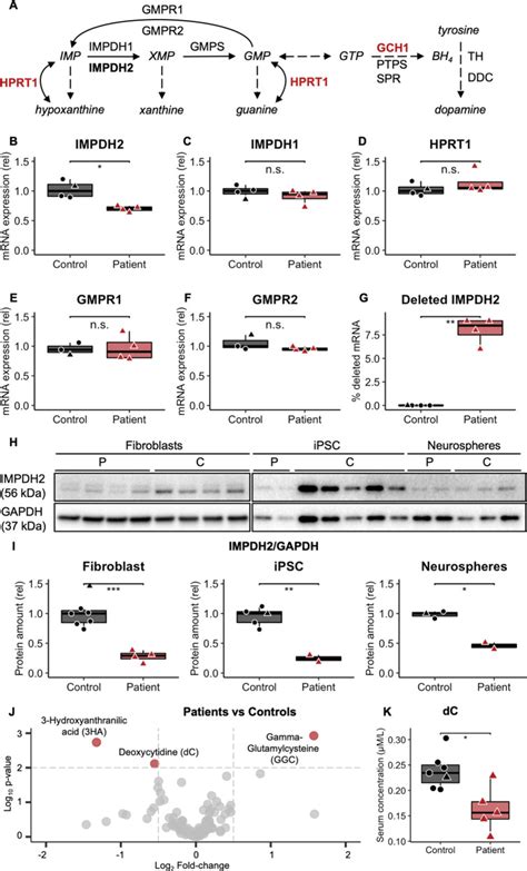 Impdh2 A New Gene Associated With Dominant Juvenile Onset Dystonia