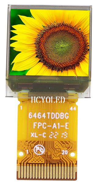 Compact Color Inch OLED Display OLED Panel For Healthcare Portable Devices OLED Display