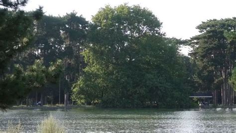 Meurtre De Philippine Je Vais Mourir Il Avait Un Regard De Type Dangereux Quand Le