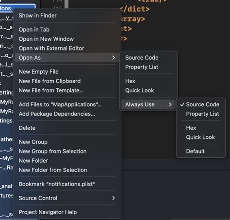 Xcode Quick Open Property List File Eg Infoplist As Source Code Stack Overflow