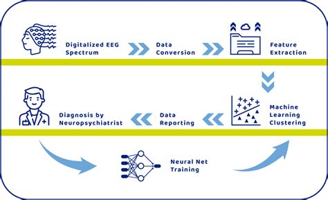How Brainbow Works Brainbow