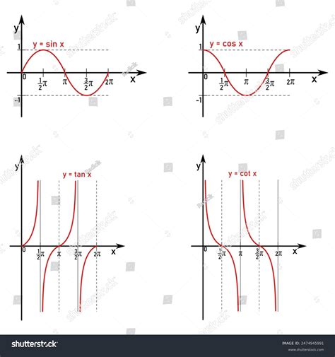 Graphs Trigonometric Functions Sine Cosine Tangent Stock Vector