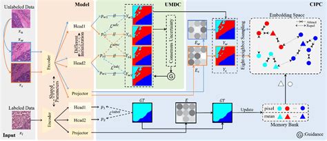 Figure 2 From Semi Supervised Pixel Contrastive Learning Framework For Tissue Segmentation In