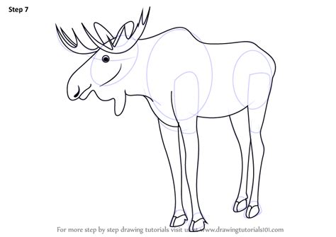 How To Draw Moose At Genmagnusblog Blog