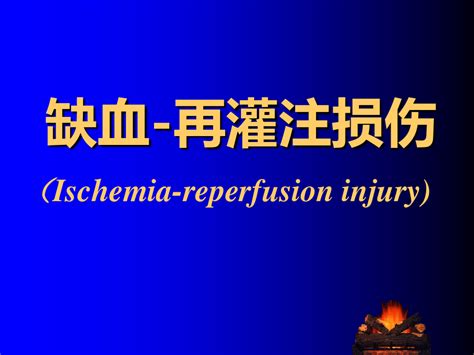 第十三章 缺血再灌注损伤 Word文档在线阅读与下载 无忧文档