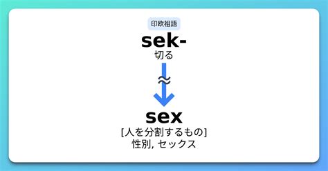Sex 語源とコアイメージと覚え方 意味・上位語・下位語 イメージ英単語