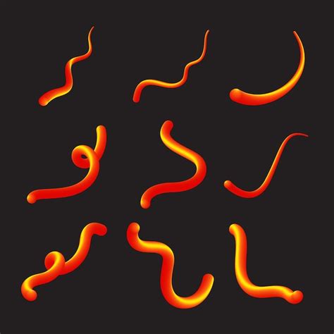 Premium Vector Gradient Abstract Lines 1