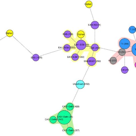 Minimum Spanning Tree Mst Illustrating The Evolutionary Relationships Download Scientific