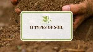 11 Types Of Soil Which Soil Type Is Right For Your Garden Evergreen Seeds