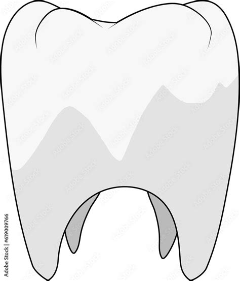 이빨 치아 벡터 일러스트 Stock Illustration Adobe Stock