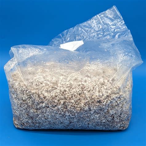 Colonized Grain Spawn 4 X 6 Lbs Bags 24 Lbs Spawn Magic
