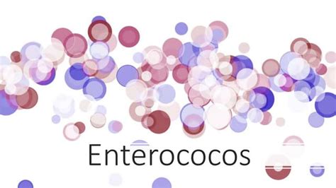 Enterococos Tecnicapptx