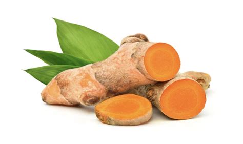 Tumeric Portal Forest Estates