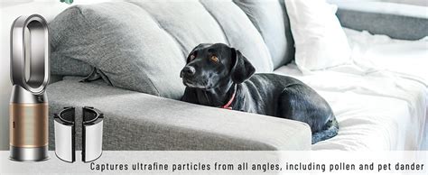 360° Combi Glass 2 In 1 Hepa Carbon Replacement Filter For Dyson Tp07 Hp07 Tp06 Hp06