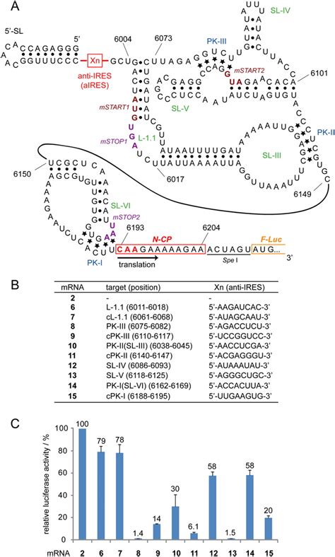 Rational Design Of Artificial Riboswitches Based On Ligand Dependent Modulation Of Internal