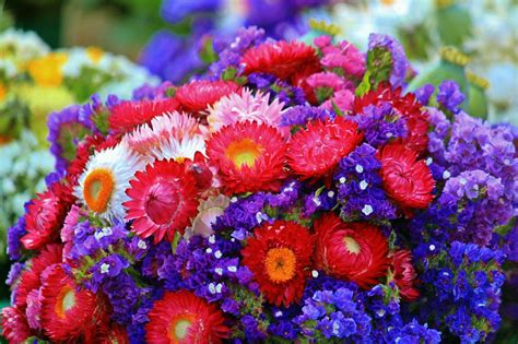 Why Flowers Are Still The Perfect Gift Challenge Magazine