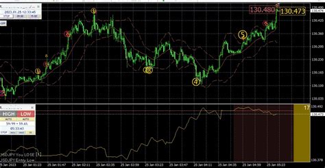 How To Use Binary Lab Simulator Trading Systems 26 December 2023