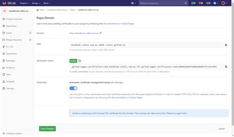 Gitlab Pages Custom Domain Lets Encrypt Ssl Certificate Not Completing