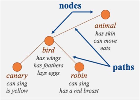 semantic memory model