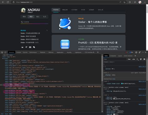 关于使用 Front Matter 控制页面标题的问题 · Issue 261 · Xaoxuuhexo Theme Stellar