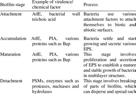 The Stages Of Biofilm Formation And Maturation Download Scientific Diagram