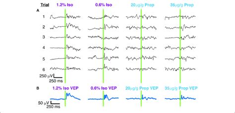 Single Trials Of Visual Evoked Potentials Under Isoflurane And Download Scientific Diagram