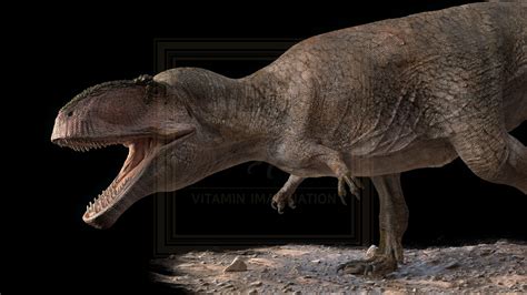 Vitamin Imagination Tyrannotitan