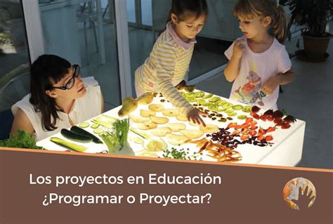 Los Proyectos En Educación