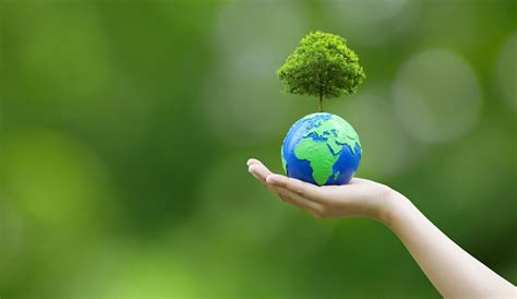 Esg Co2 Csr 및 넷 제로를 위한 나무가 있는 지구본 공을 들고 있는 인간의 손 세계 지속 가능한 환경 개념 Save