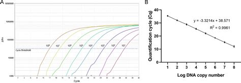 Analytical And Clinical Evaluation Of A Taqman Real Time Pcr Assay For The Detection Of