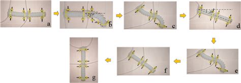 Experiment Diagram Of The Crawling Robots Turning Motion Download