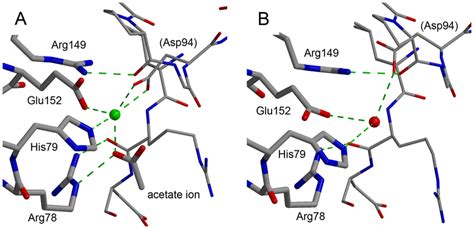 The Cadmium Binding Site A The Cadmium Binding Site Located Between
