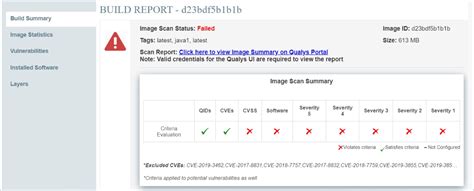 View Your Qualys Report