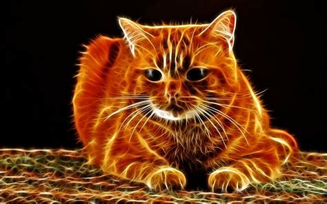 Abstract Cat Wallpapers Top Free Abstract Cat Backgrounds