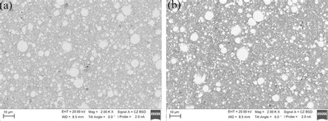 The Sem Image Of The Sintered W Cu Composite A—heating Rate—52 °c Download Scientific Diagram