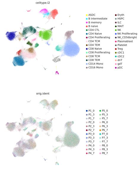 Cite Seq Reference Mapping With Totalvi — Scvi Tools