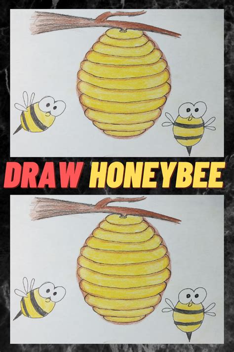 Draw A Honeybee Easy Drawings Cute Easy Drawings Honeycombs Drawings