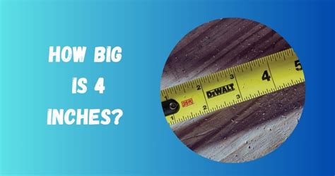 How Long Is 4 Inches 10 Common Things That Are 4 Inch Long