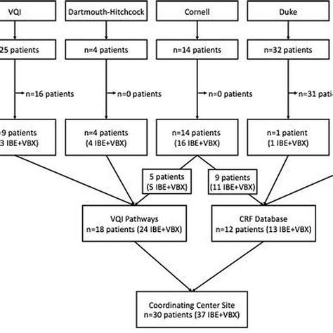 Schematic Depicting The Case Identification Process And Number Of Cases