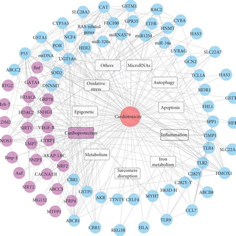 Graph Of The Protein Network Comprising Combinations Based On Genetic